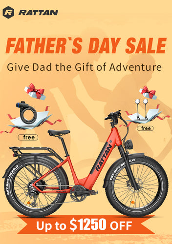 Ebike | Electric Bike | Power Bike | Electric Fat Bike | Rattan Ebike